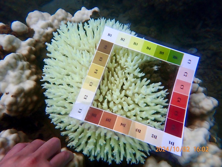 Marine Creature Observation Meeting | 鹿児島大学× SDGs